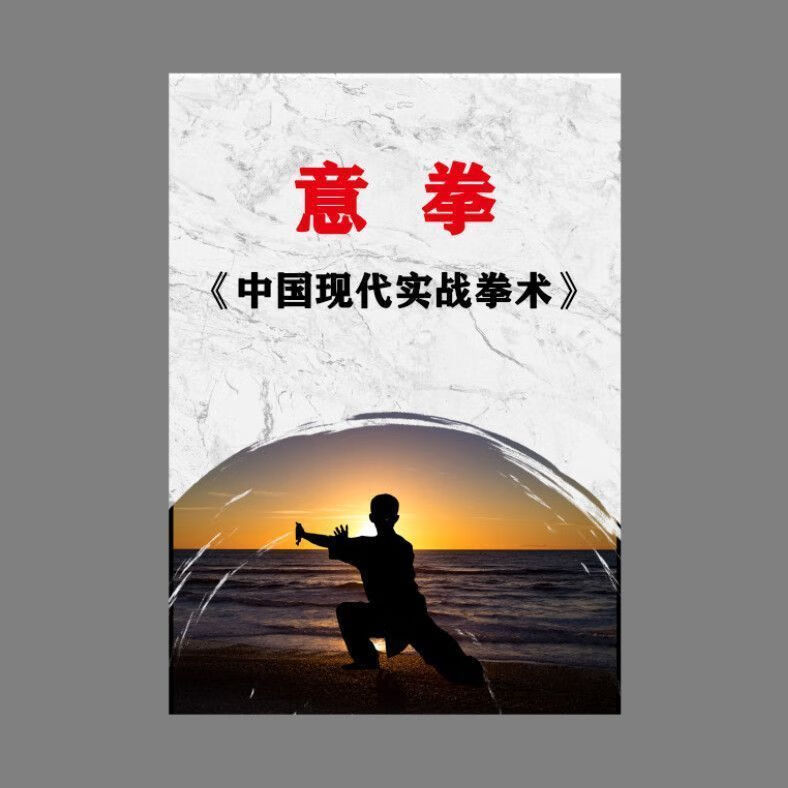 意拳 中国现代实战拳术 姚宗勋编著 166页