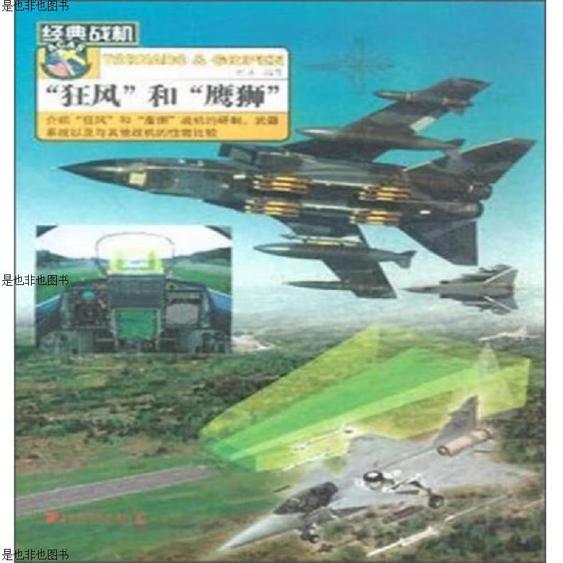 经典战机：“狂风”和“鹰狮”