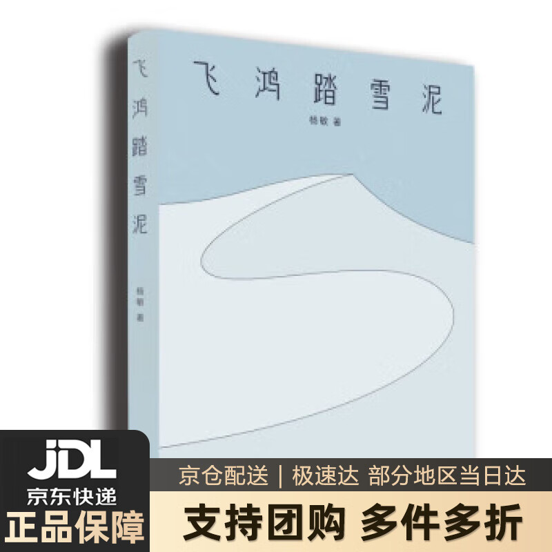 【 送货上门】飞鸿踏雪泥