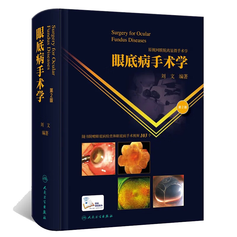 眼底病手术学（第2版）