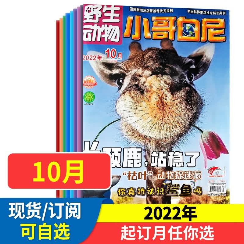 小哥白尼野生动物杂志【2023年1-12月全年半年订阅】当月前现货孩子课外阅读青少年科普杂志期刊 2022年10月现货