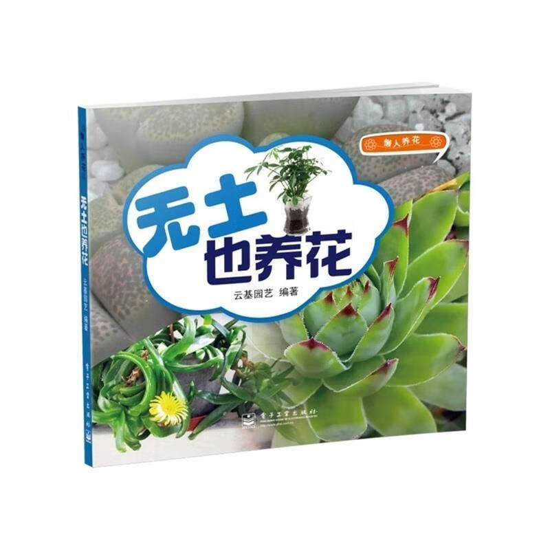 无土也养花