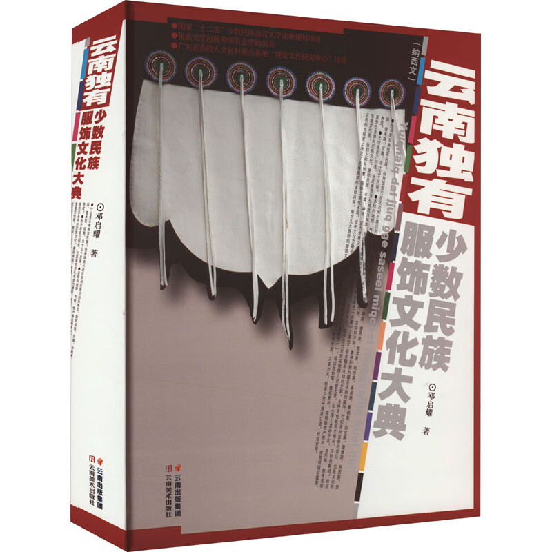云南独有少数民族服饰文化大典 图书
