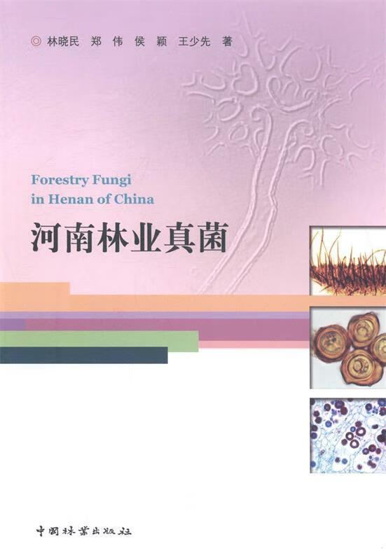 河南林业真菌