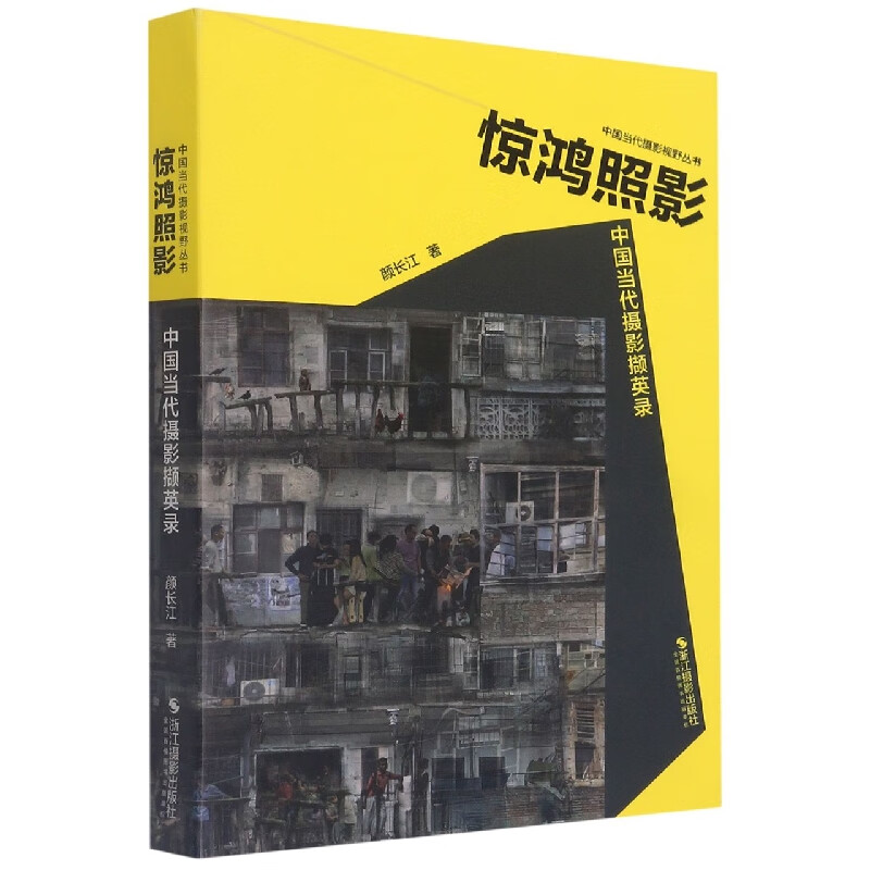 惊鸿照影(中国当代摄影撷英录)/中国当代摄影视野丛书