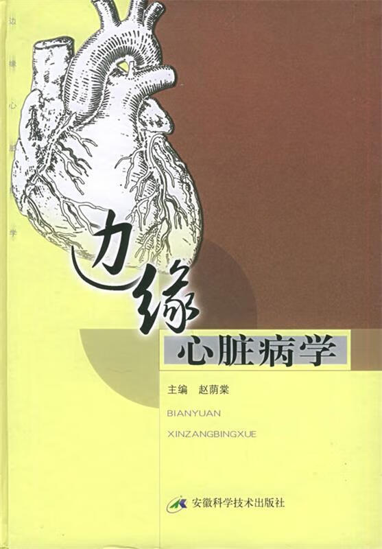 边缘心脏病学 赵荫棠 主编