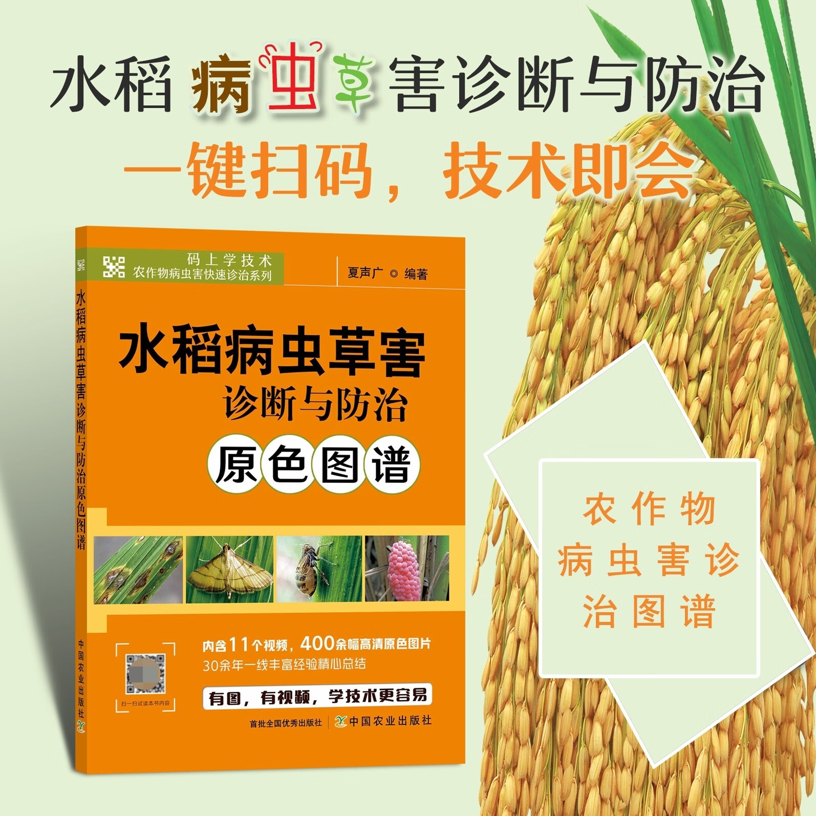 书籍 水稻病虫草害诊断与防治原色图谱 水稻种植水稻栽培技术水稻病虫草害诊断防治图谱 农作物病虫害快速诊治 中国农业