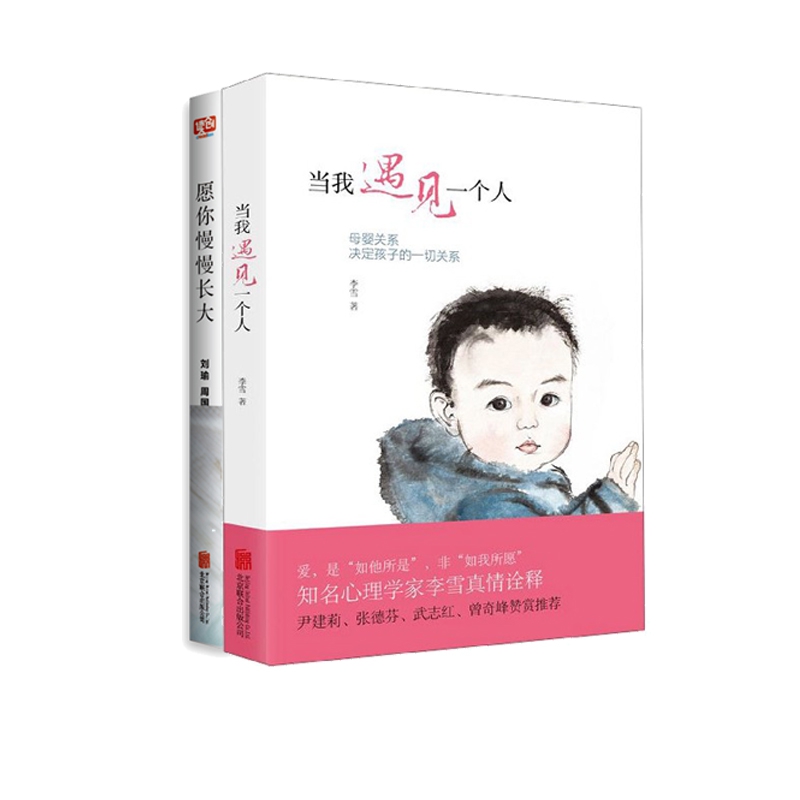 当我遇见一个人(母婴关系决定孩子的一切关系)+愿你慢慢长大 共2册
