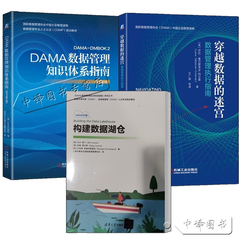 3册 构建数据湖仓 （美）比尔·恩门+DAMA数据管理知识体系指南 原书第2版+穿越数据的迷宫 数据管理执行指南 数据平台开发运维书