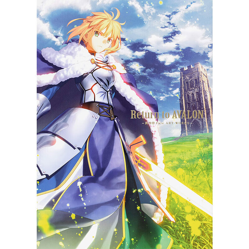 【中图日文】Return to AVALON 武内崇 Fate ART WORKS 原版重返阿瓦隆