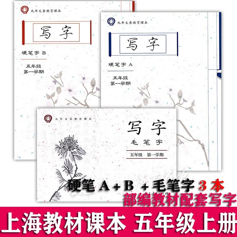 上海教材 小学课本 写字 硬笔字A+笔字 5 五年级 上 第一学期