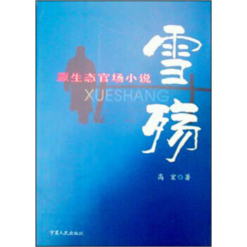 原生态官场小说:雪殇