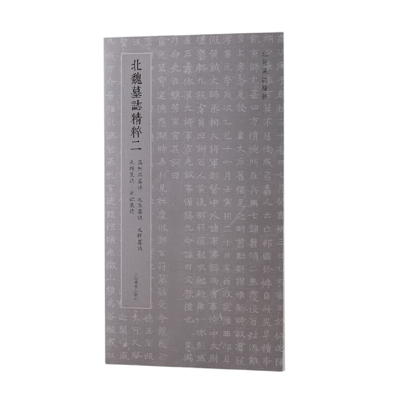 北朝墓志精粹·北魏墓誌精粹二