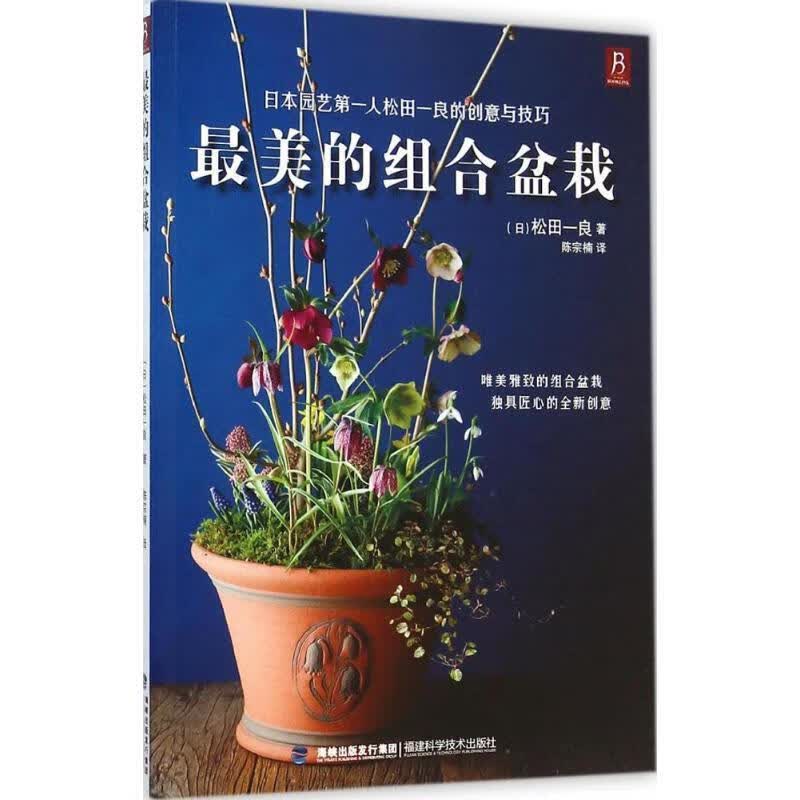 美的组合盆栽