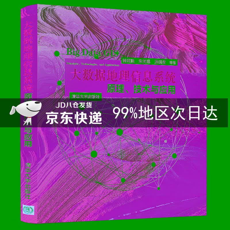 大数据地理信息系统：原理、技术与应用