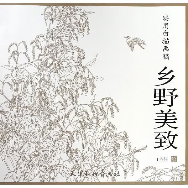 乡野美致(实用白描画稿)