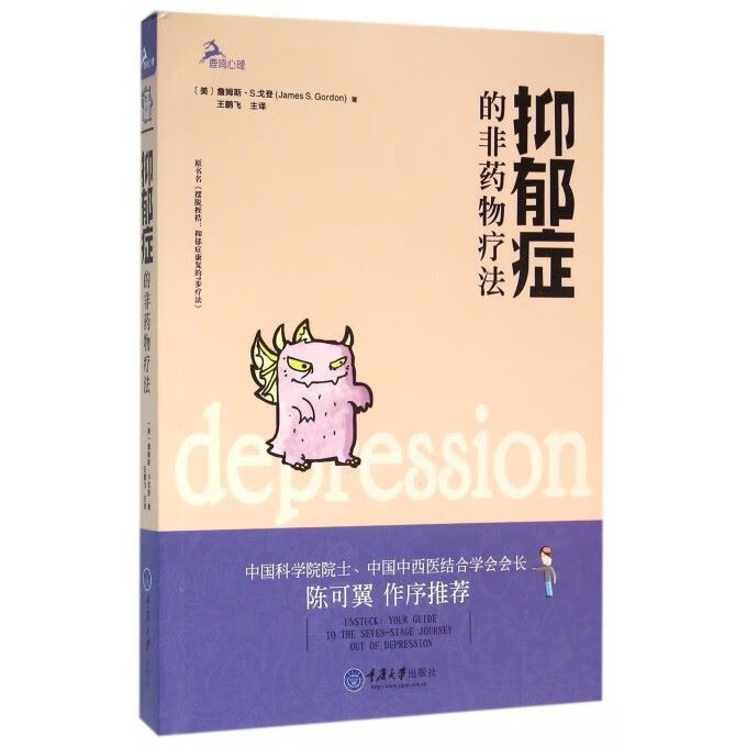 抑郁症的非药物疗法 心理咨询与治疗 抑郁症自我治疗书籍减压 治疗抑郁症的书改善情绪抗抑郁读