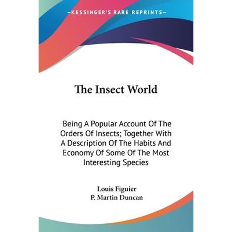 The Insect World