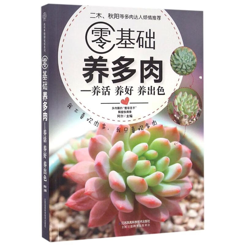 零基础养多肉--养活养好养出色