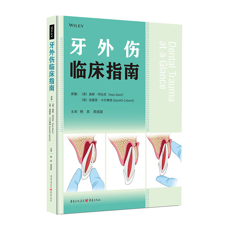 牙外伤临床指南 牙外伤快速识别、治疗、护理新进展 儿童口腔保健 口腔科学