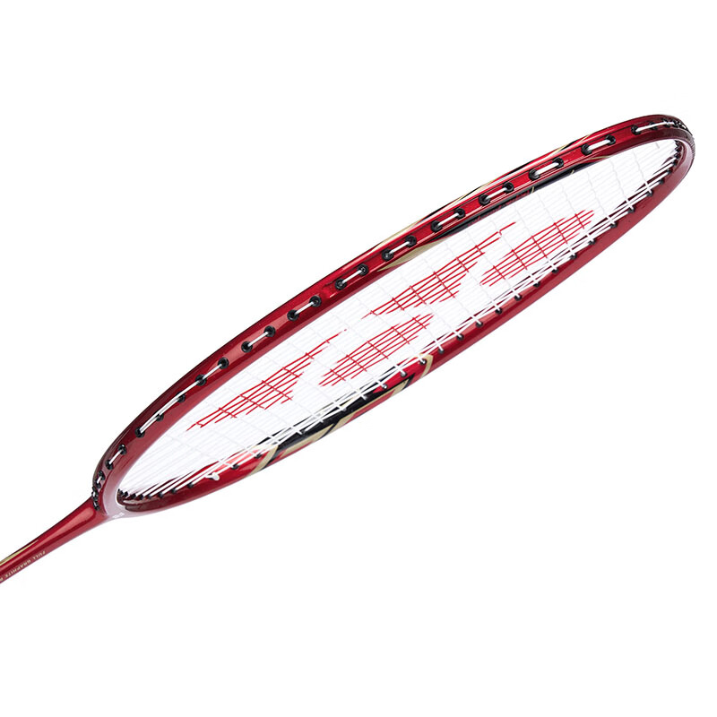 ASTROX 10 DG AX10DG 天斧10DG AX-10DG AX10DGEX 羽毛球装备哪里买 中羽在线