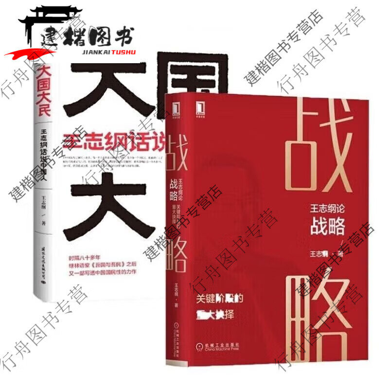 现货王志纲论+大国大民 王志纲书籍 大国大民+战略 (套装 2 册)