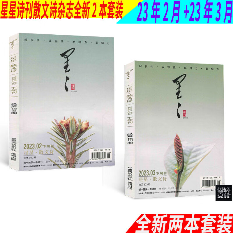 两本 星星诗刊诗版2023年2+3月下旬刊 23年2+3月 两本套装