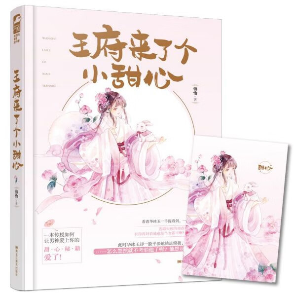 王府来了个小甜心