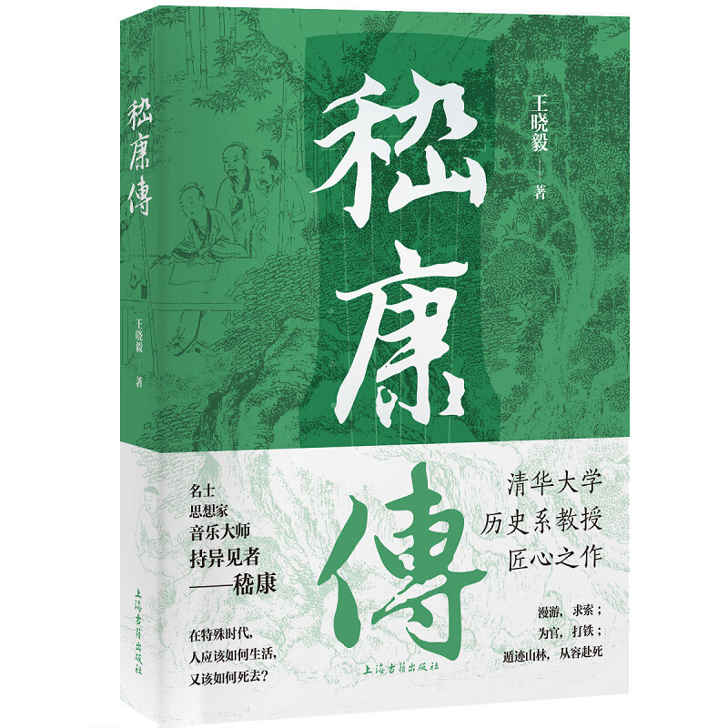 嵇康传（清华大学历史系教授王晓毅的匠心之作，重读嵇康，解读大时代背景下的个人沉浮）
