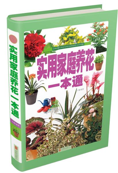 实用家庭养花一本通 科学实用 图文全解 家居 王敏编著 北京联合出版公司 9787550253056
