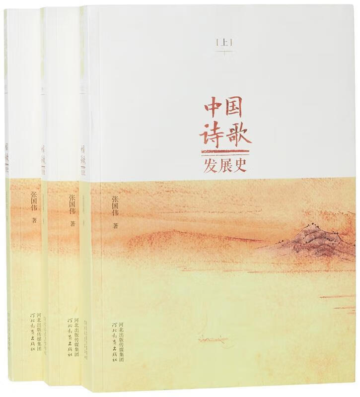 中国诗歌发展史 张国伟【书】