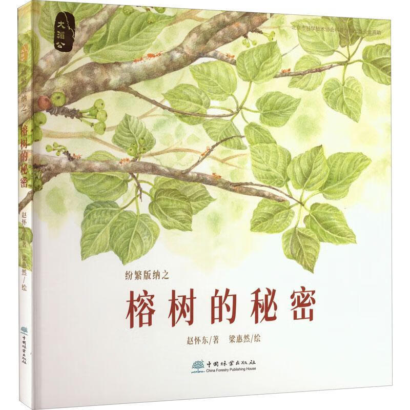 纷繁版纳-榕树的秘密(精装)赵怀东中国林业出版社9787521914054 科普读物书籍