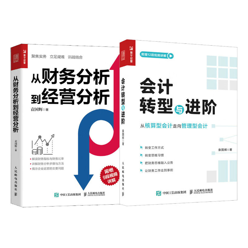 袁国辉财务进阶2本套 图书