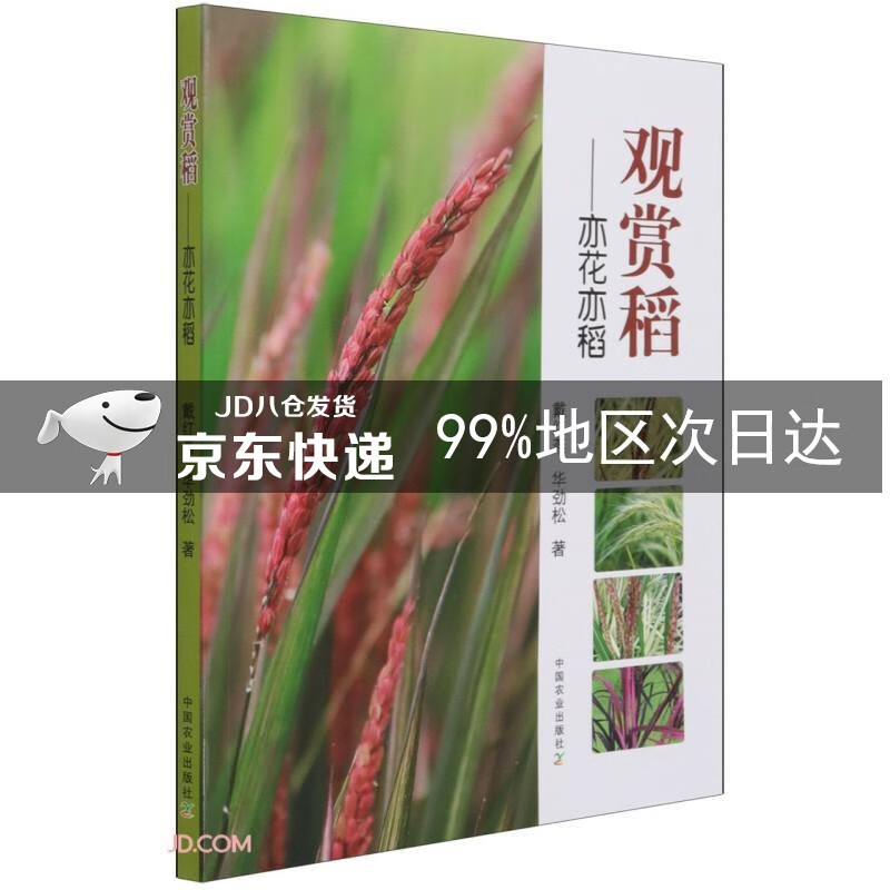 观赏稻--亦花亦稻