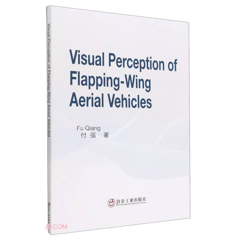 Visual Perception of Flapping-Wing Aerial Vehicles