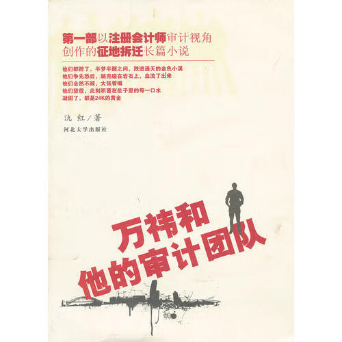 万祎 和他的审计团队9787566604071【精选】