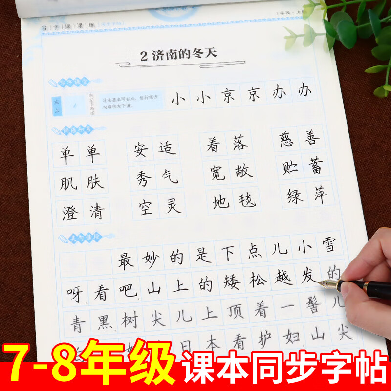 同步字帖上册下册人教版生练字临摹练字帖楷书罗扬正楷行楷衡水体 上册语文同步练字帖 七年级/初中一年级