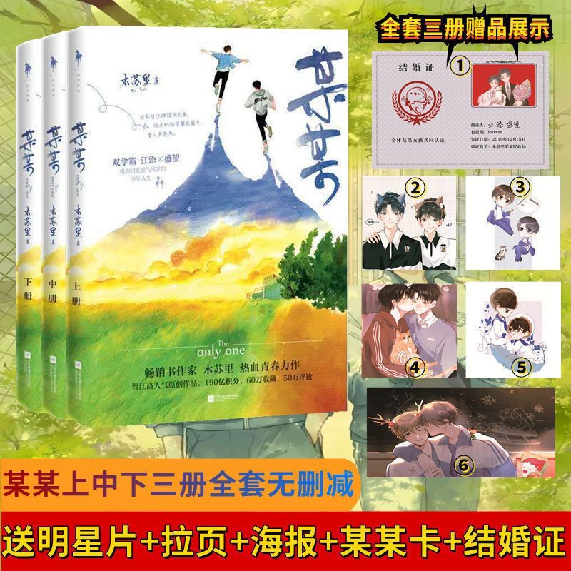 【速发】某某小说全三册全套完整版木苏里晋江青春校园小说超多 某某全三册无删减含