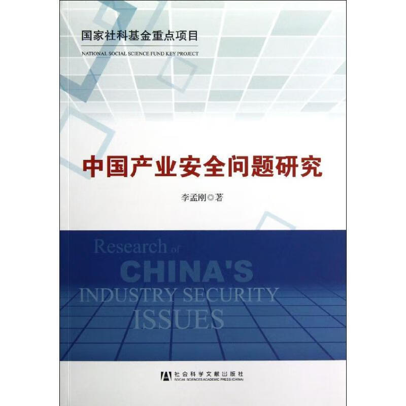 中国产业安全问题研究