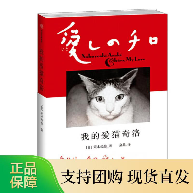 我的爱猫奇洛