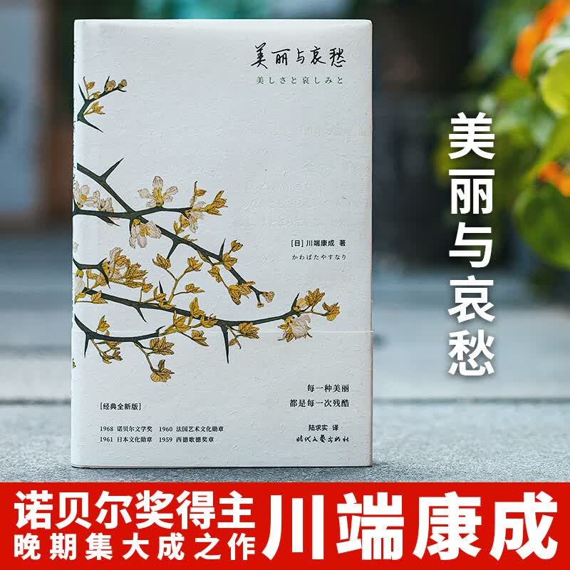 美丽与哀愁(精) (日)川端康成