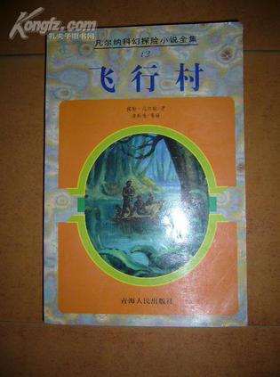 飞行村【好书】