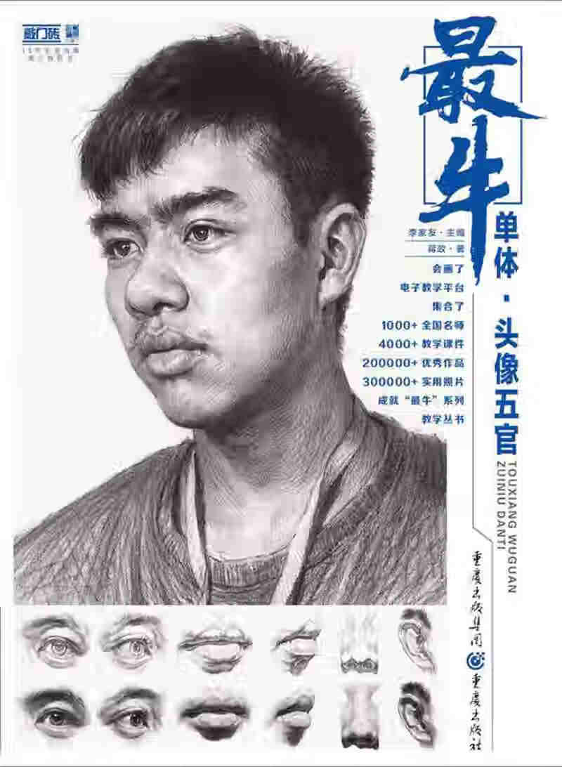 【书】牛单体 头像五官