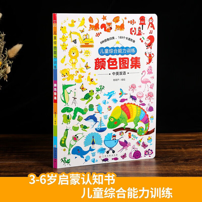 正规【HL】儿童综合能力训练 颜色图集 0-3岁幼儿童启蒙早教书籍 儿童综合能力训练：颜色图集