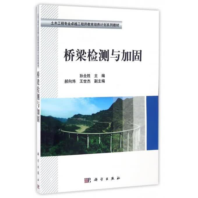 桥梁检测与加固 孙全胜
