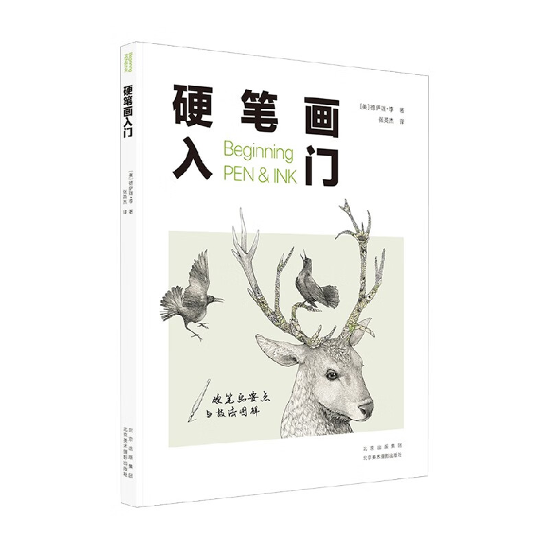 硬笔画入门 德萨瑞·李 著 美术