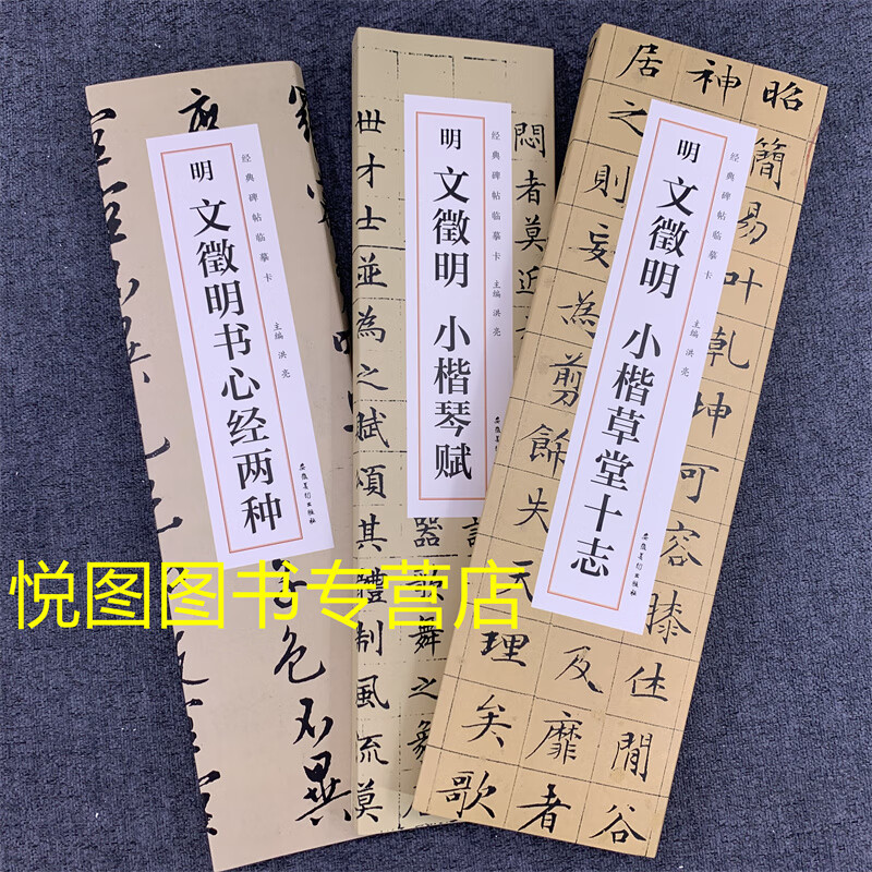 全3册 文征明小楷草堂十志 + 文徵明小楷琴赋 + 文徵明书心经两种 经典碑帖近距离临摹字卡 洪亮主编 文征明小楷字帖 文征明心经 毛笔书法练字卡 安徽美术出版社