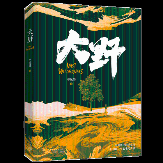 大野 科幻小说 书籍9787530219058