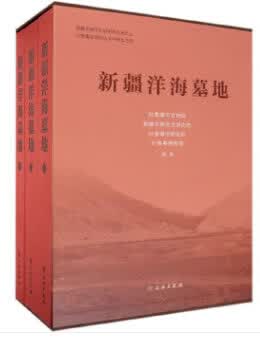 新疆洋海墓地 9787501058044 文物出版社