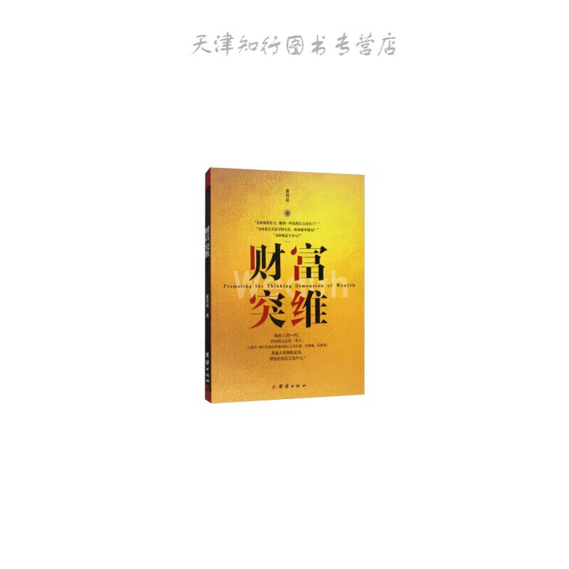 财富突围 童秝庭 著 团结出版社